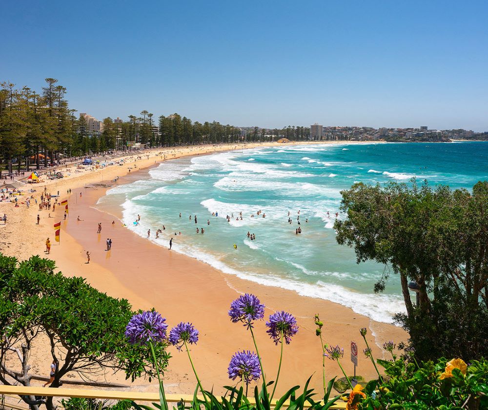 Your ultimate guide to travel in Sydney - The Sydney Guide